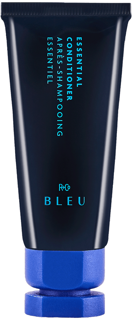 ESSENTIAL CONDITIONER - Mini – R+Co Pro