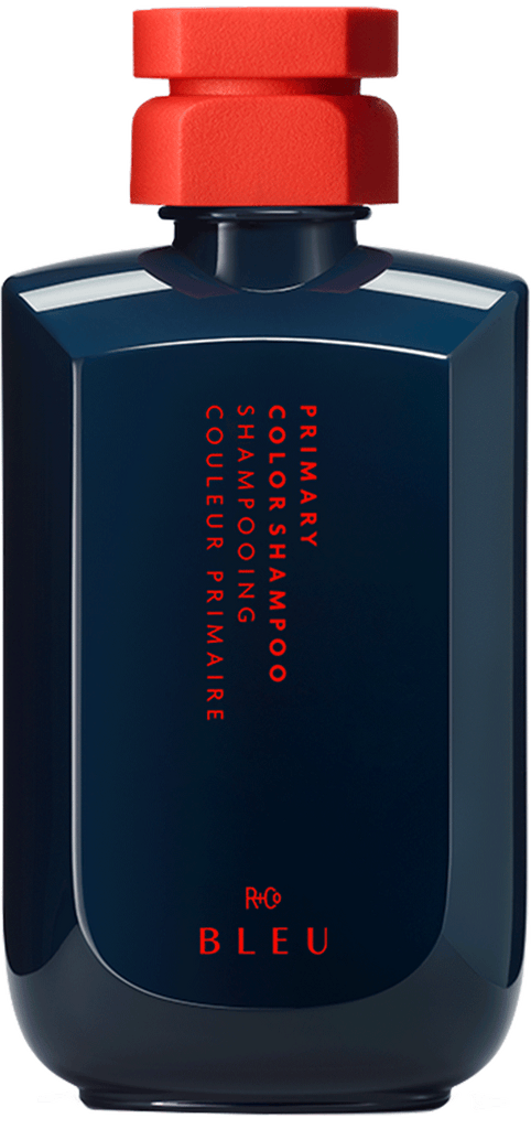 PRIMARY COLOR SHAMPOO – R+Co Pro